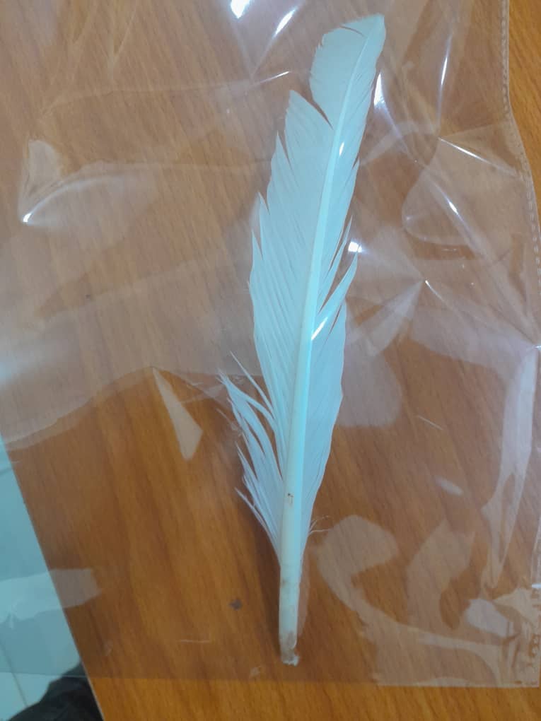 Long Eagle Feather For Igbo Men Chieftaincy Red Cap - Capkings Nigeria ...