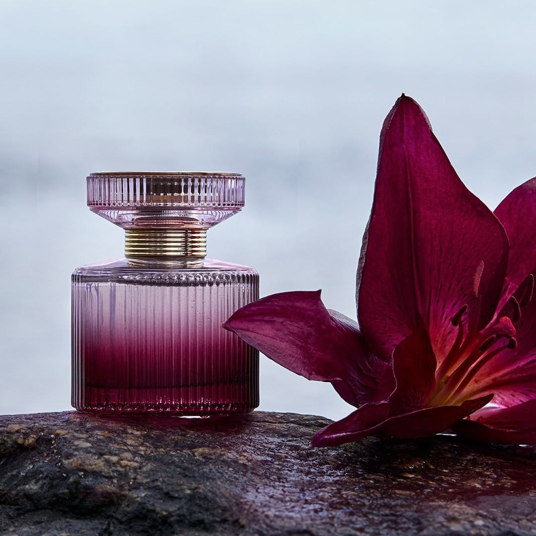 Amber Elixir Mystery EdP 50ml - MsVick Shop | Flutterwave Store