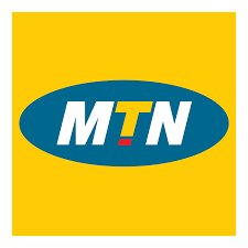 1GB (MTN SME DATA PLAN) - DLCI-household Store | Flutterwave Store