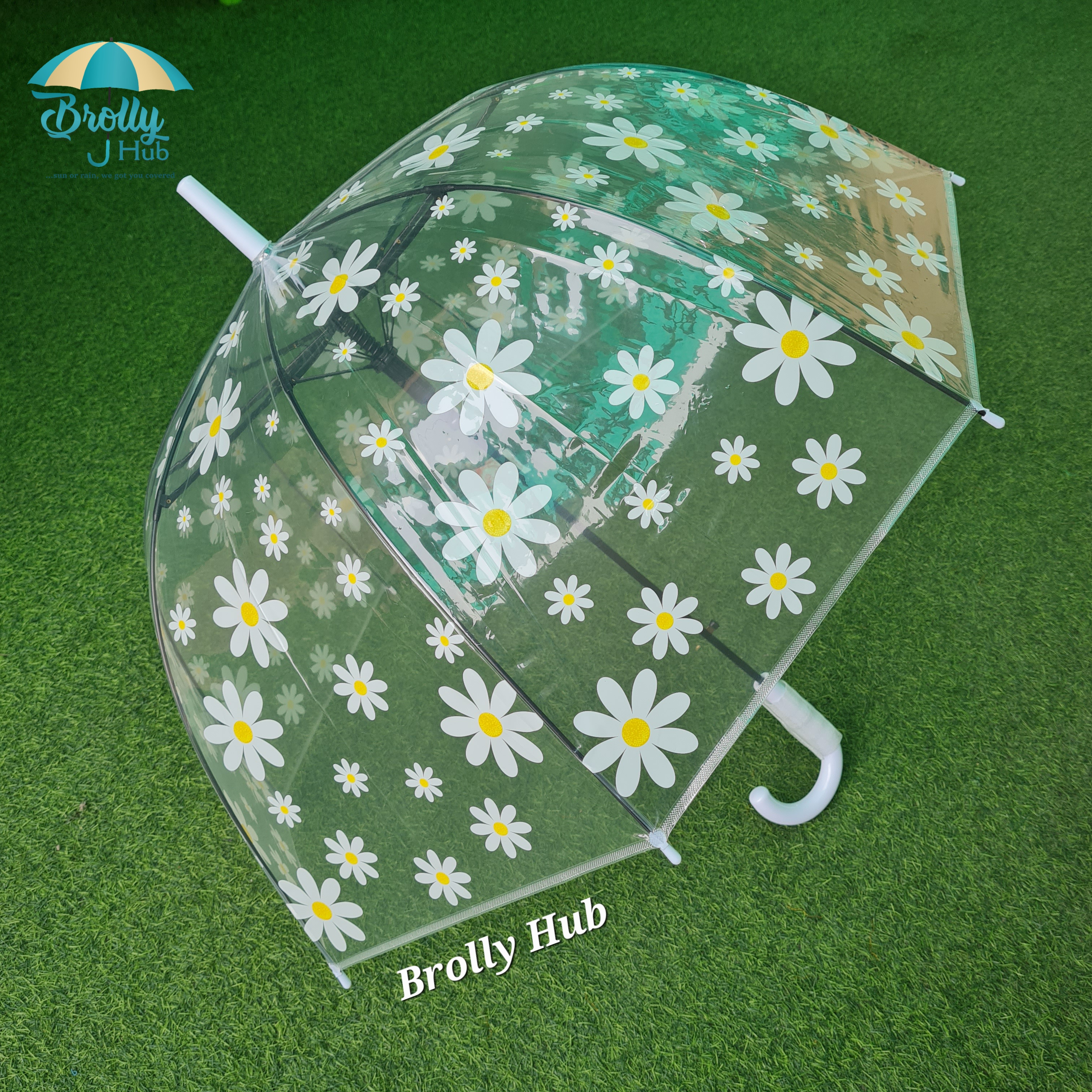 Daisy flower print transparent umbrella - Brolly Hub | Flutterwave Store