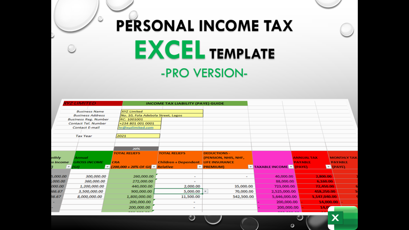Personal Income Tax Excel Template - Excelurdata | Flutterwave Store